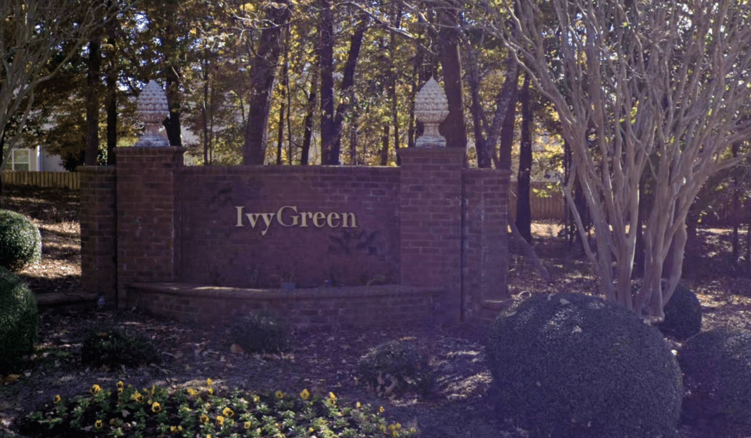 Ivy Green Patio Homes For Sale Irmo SC | James Schiller Team